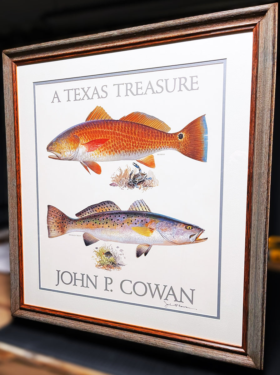 John P. Cowan A Texas Treasure Poster Art Classic Mint - Redfish And S ...