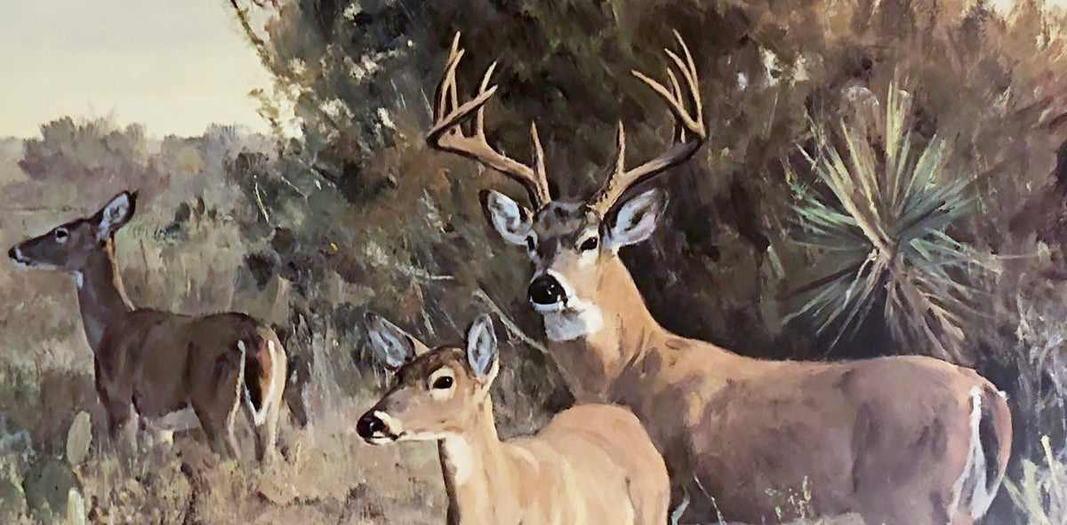 KEN CARLSON – Texas Sporting Art