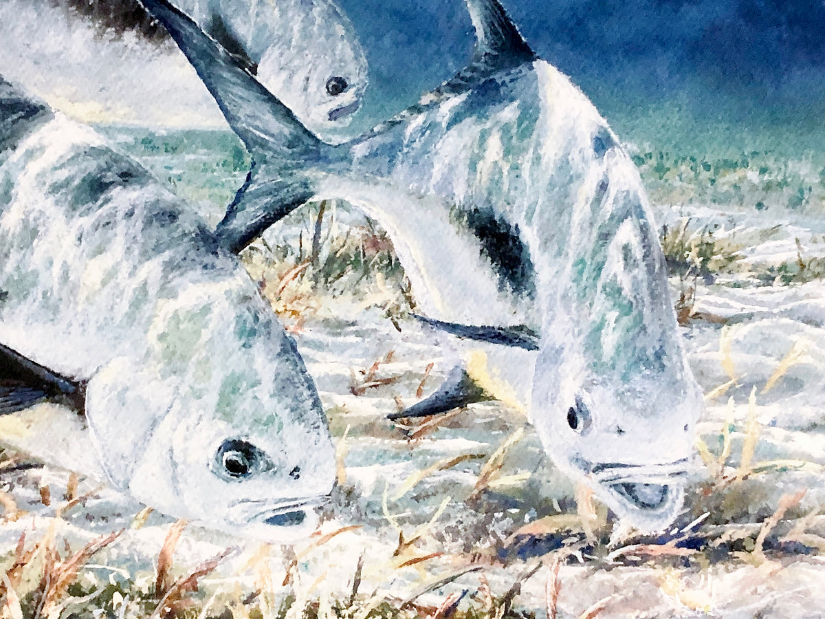 Chance Yarbrough Raghead Permit GiClee Full Sheet - Brand New Super Cu ...