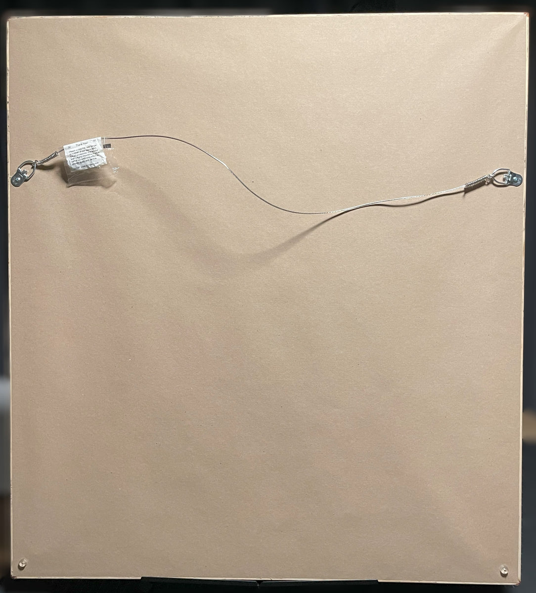 Al Barnes Collage Of Coastal Conservation Association CCA Lithograph Q ...