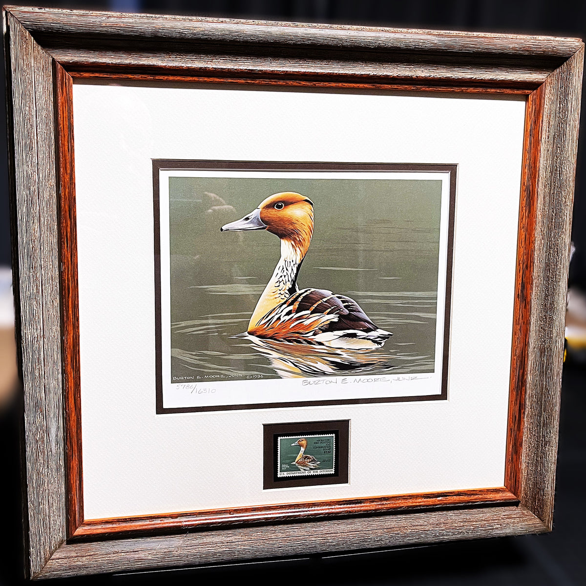 Burton Moore 1986 Federal Duck Stamp Print With Stamp - Brand New Supe ...