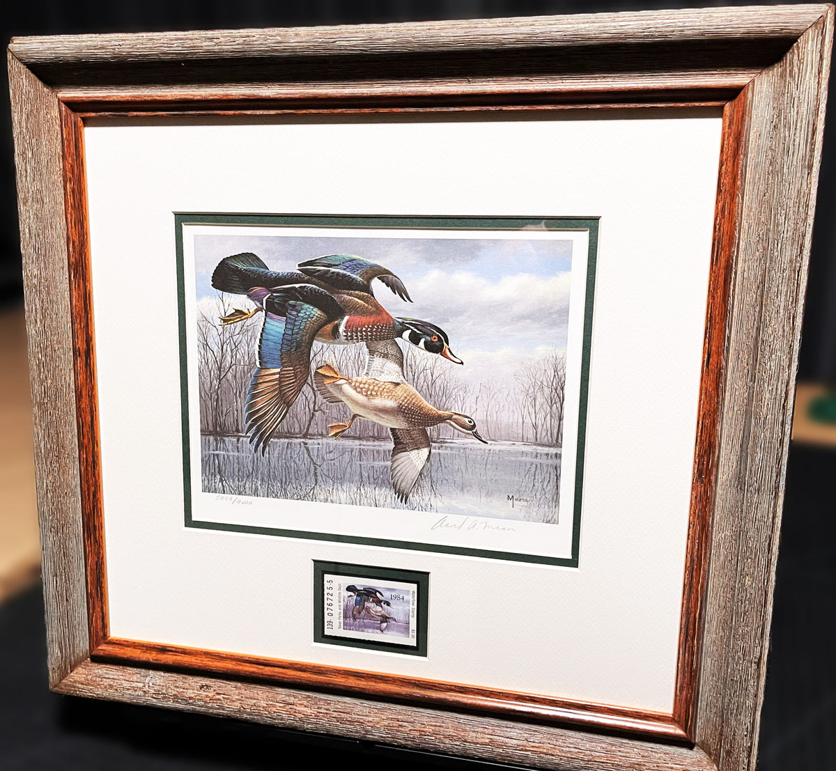 David Maass 1984 Texas Waterfowl Duck Stamp Print With Stamp - Brand N ...