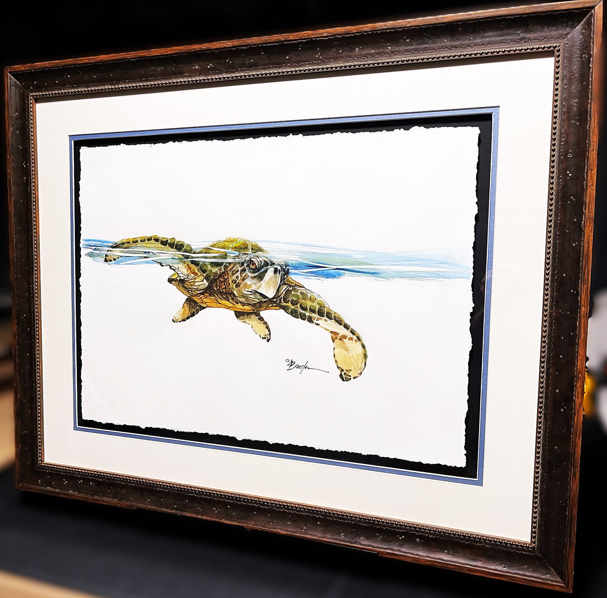 Don Breeden Original Watercolor Painting Half Sheet Ridley Turtle - Br ...