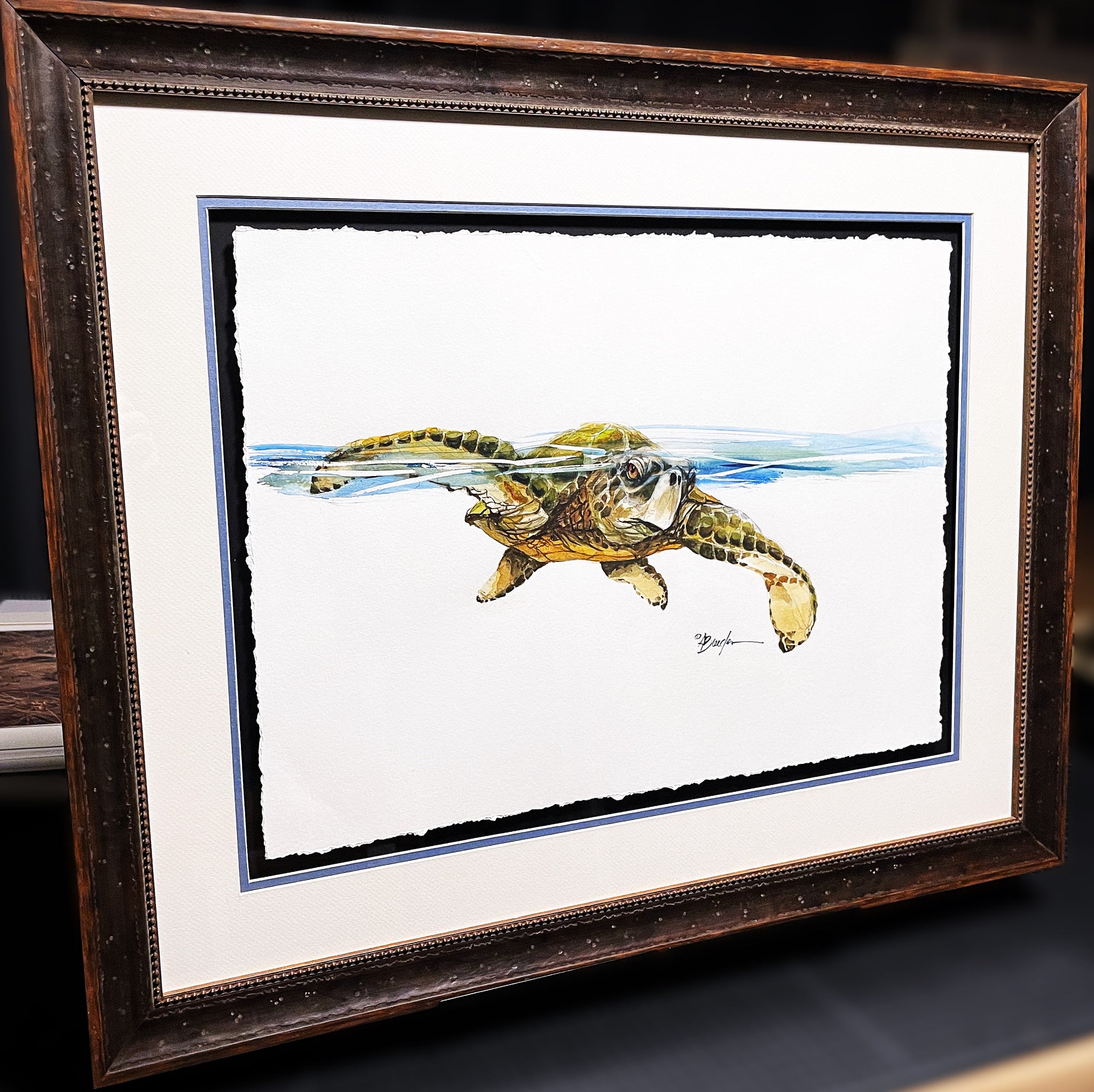 Don Breeden Original Watercolor Painting Half Sheet Ridley Turtle - Br ...