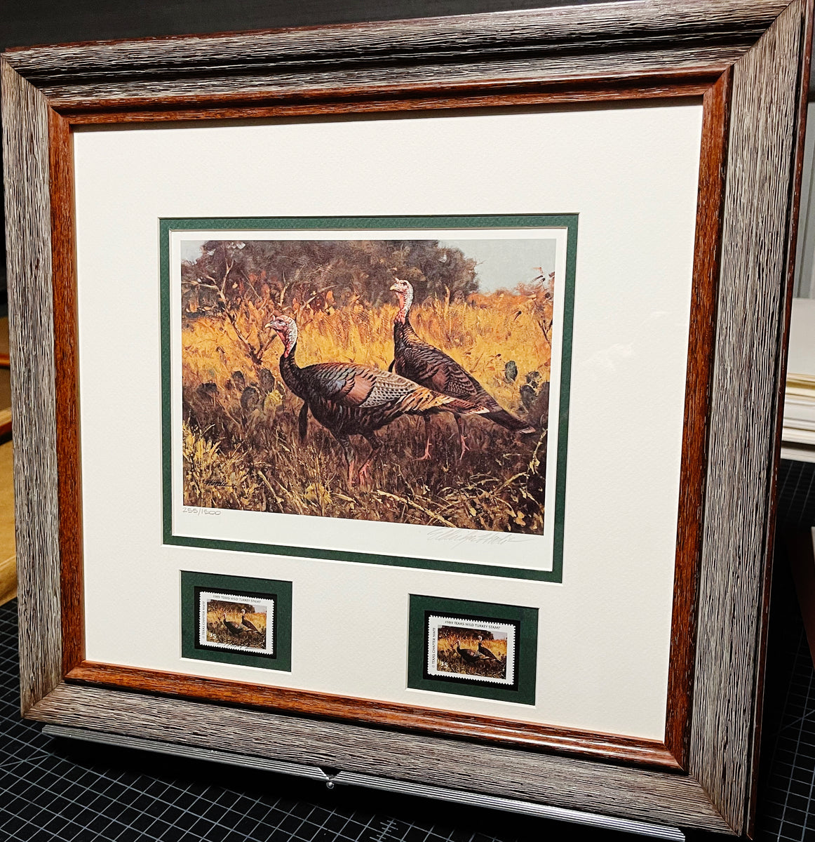 Eldridge Hardie 1989 Texas Turkey Stamp Print With Double Stamps - Bra ...