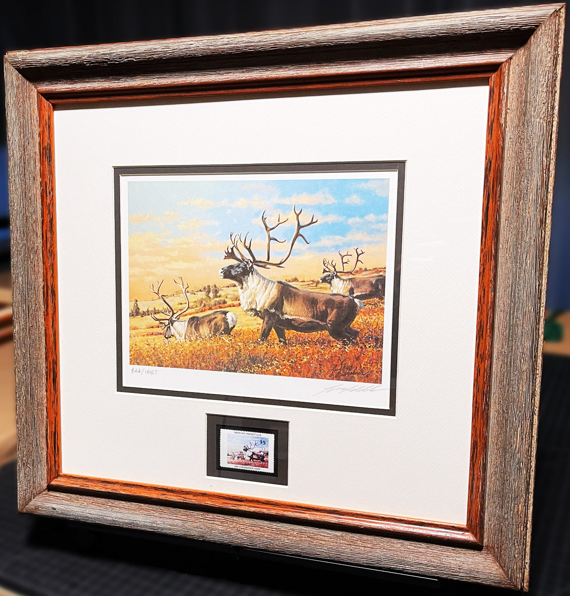 Guy Coheleach 1983 Boone And Crockett Club Stamp Print With Stamp - Br ...