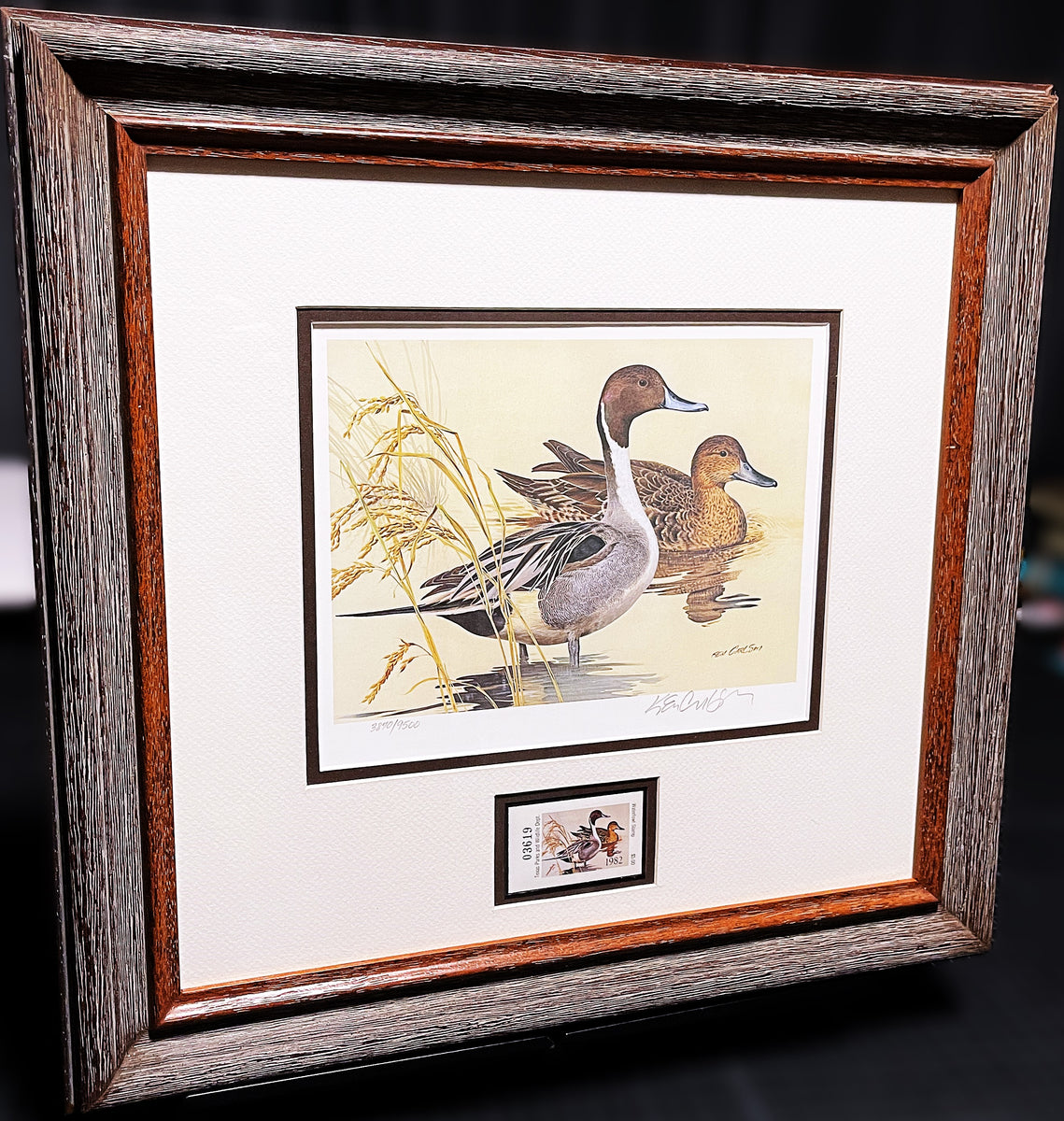 Ken Carlson 1982 Texas Waterfowl Duck Stamp Print With Stamp - Brand N ...