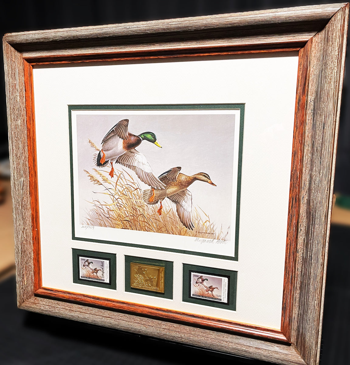 Maynard Reece 1988 National Fish And Wildlife Foundation Stamp Print G ...