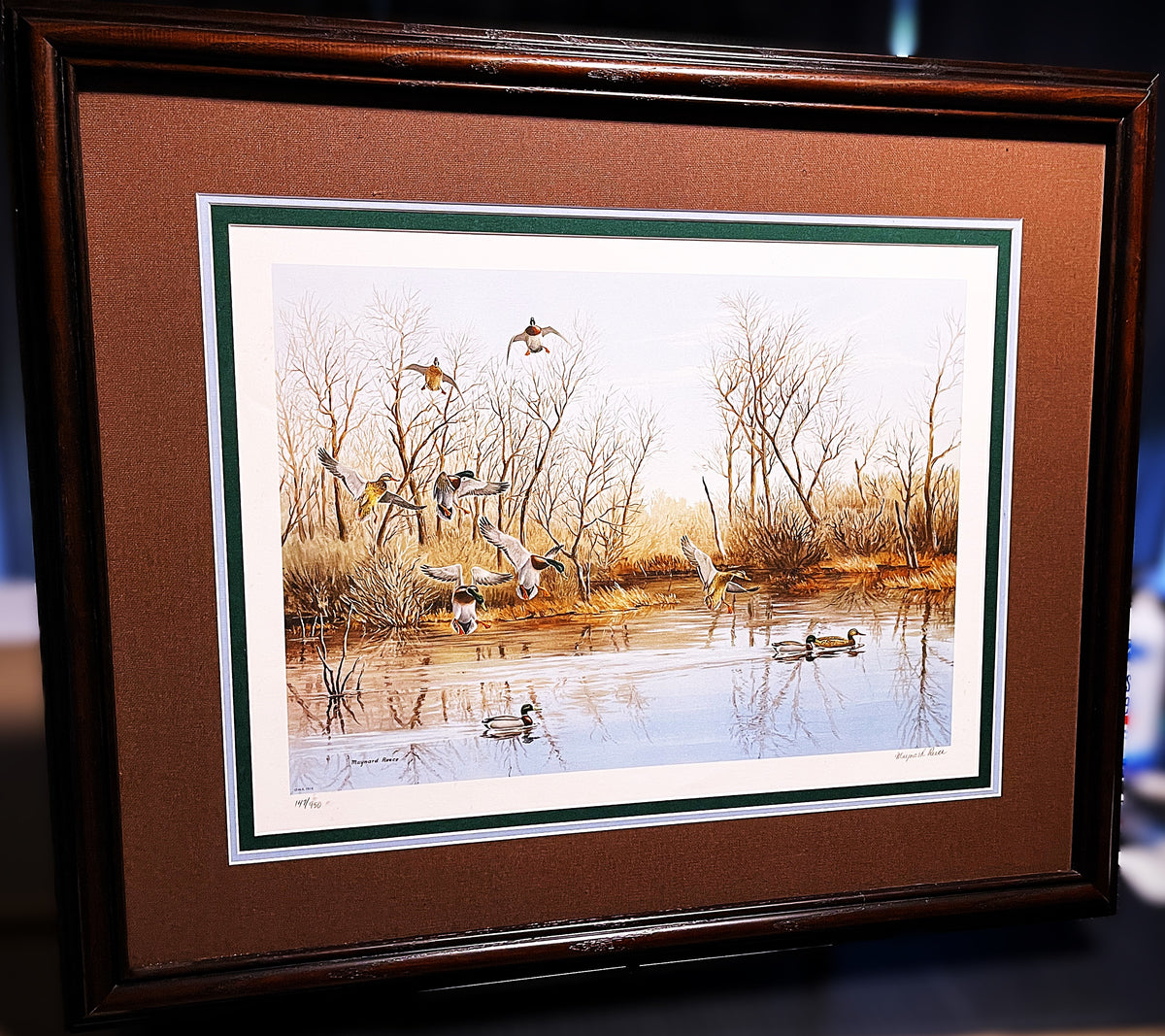 Maynard Reece Mallards Dropping In Lithograph Year 1974 - Brand New Su ...