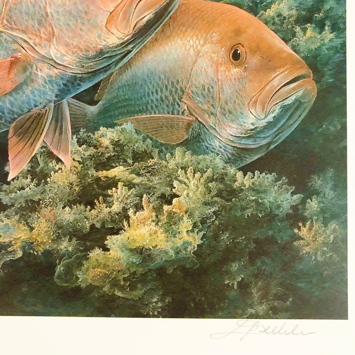 Diane Rome Peebles 2000 Coastal Conservation Association CCA Stamp Pri ...