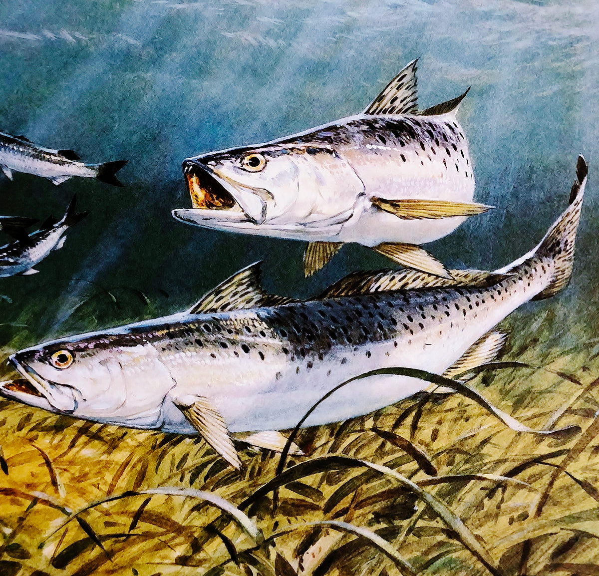 Al Barnes 1987 Texas Saltwater Stamp Print With Stamp - Brand New Supe ...