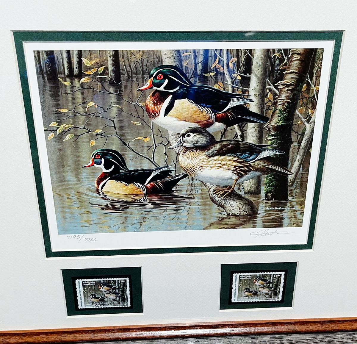 James Hautman 1999 Arkansas Waterfowl Duck Stamp Print With Double Sta ...