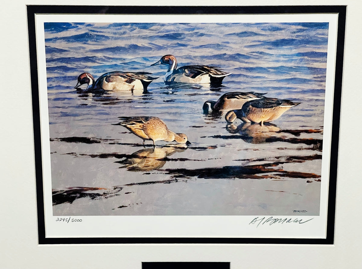 Al Barnes 1993 Ducks Unlimited Stamp Print With Stamp - Brand New Supe ...