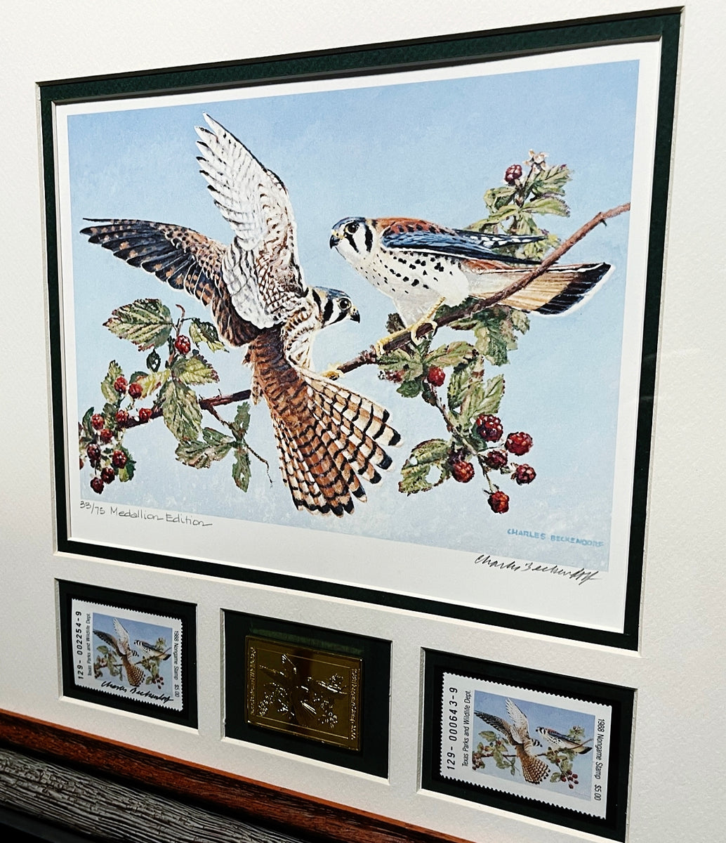 Charles Beckendorf 1988 Texas Non-Game Medallion Edition Stamp Print W ...