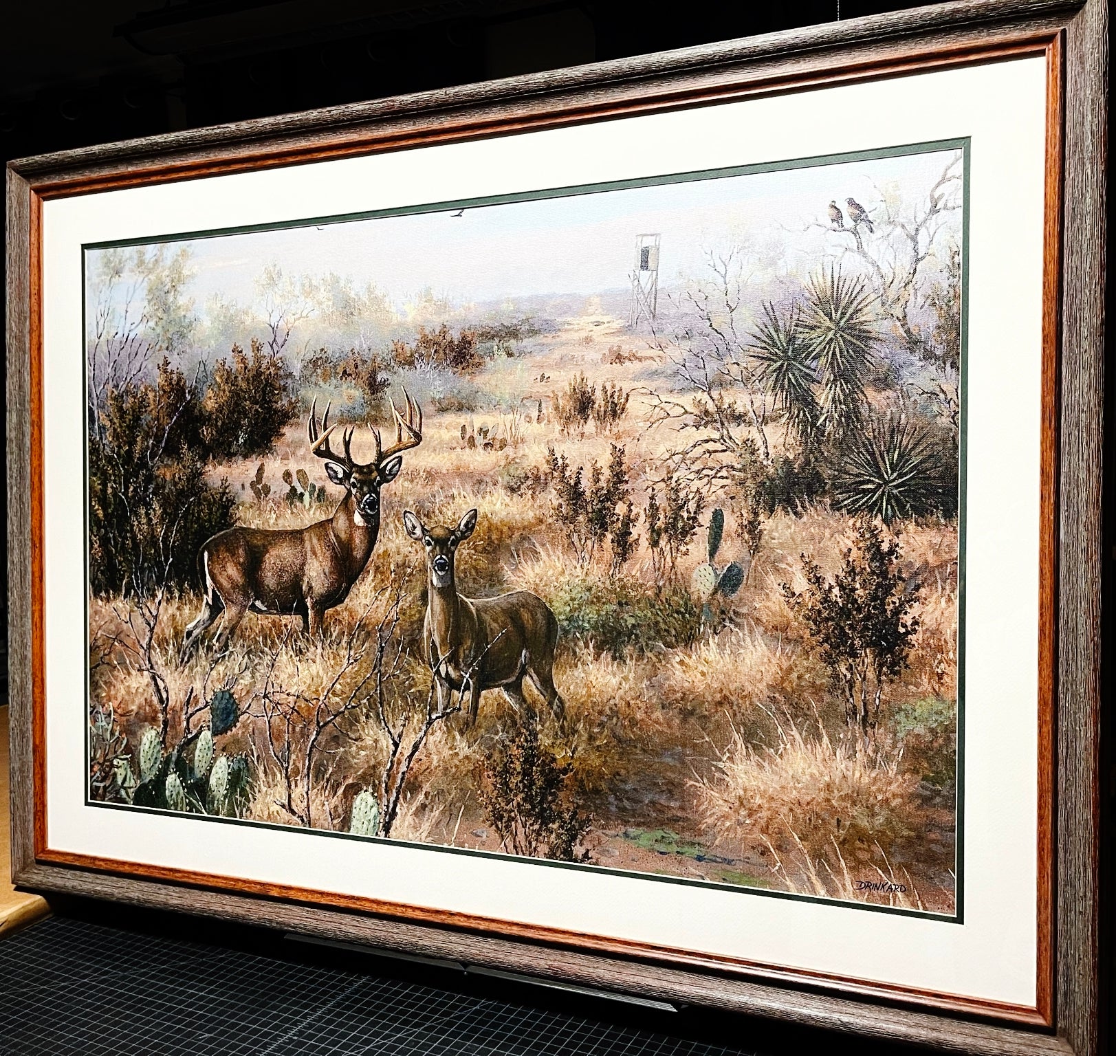 David Drinkard Art