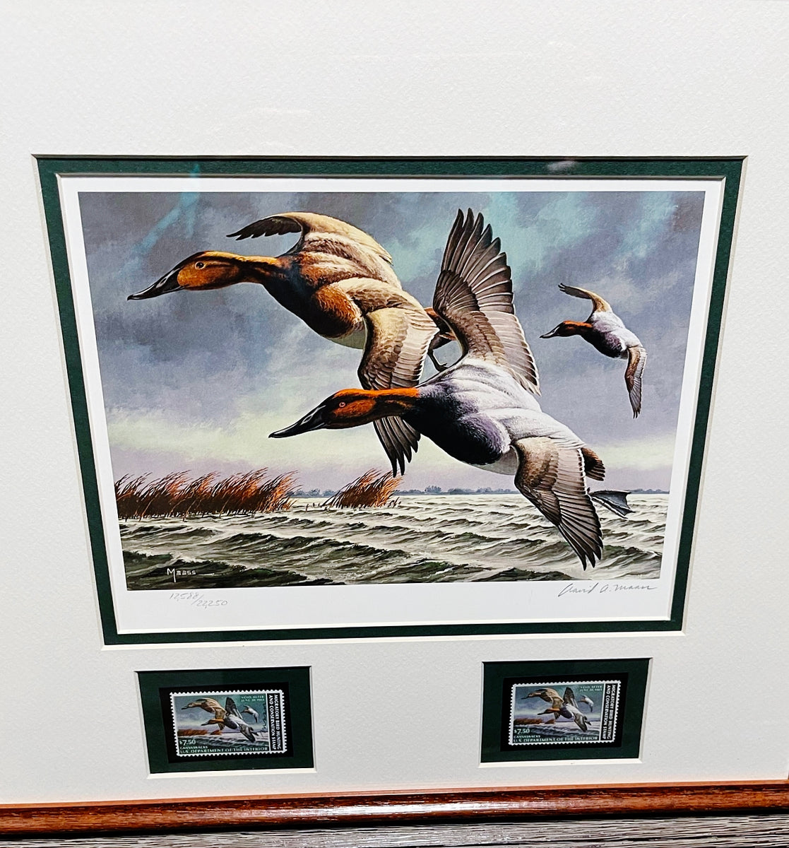 David Maass 1982 Federal Migratory Duck Stamp Print With Double Stamps ...