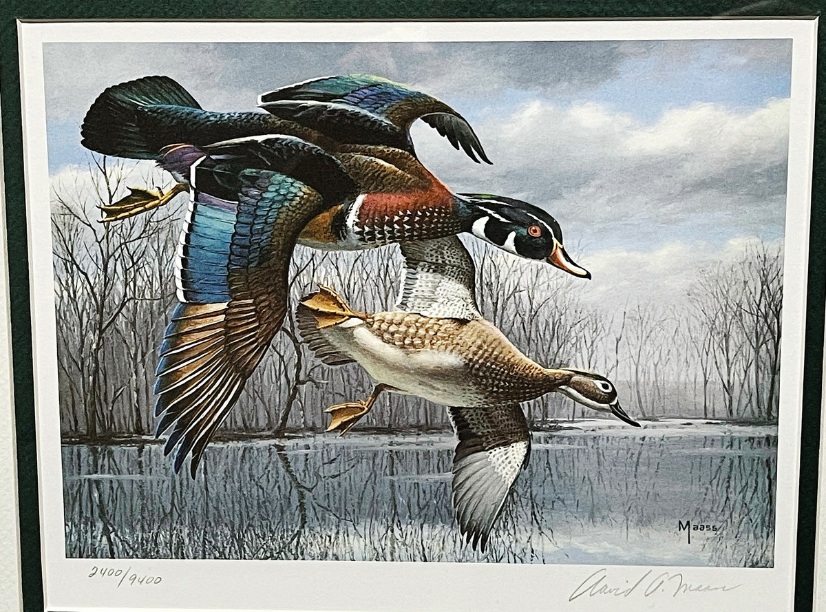 David Maass 1984 Texas Waterfowl Duck Stamp Print With Double Stamps ...