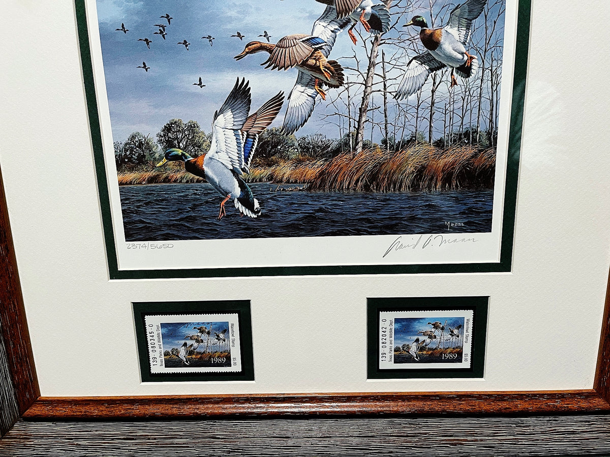 David Maass 1989 Texas Waterfowl Duck Stamp Print With Double Stamps ...