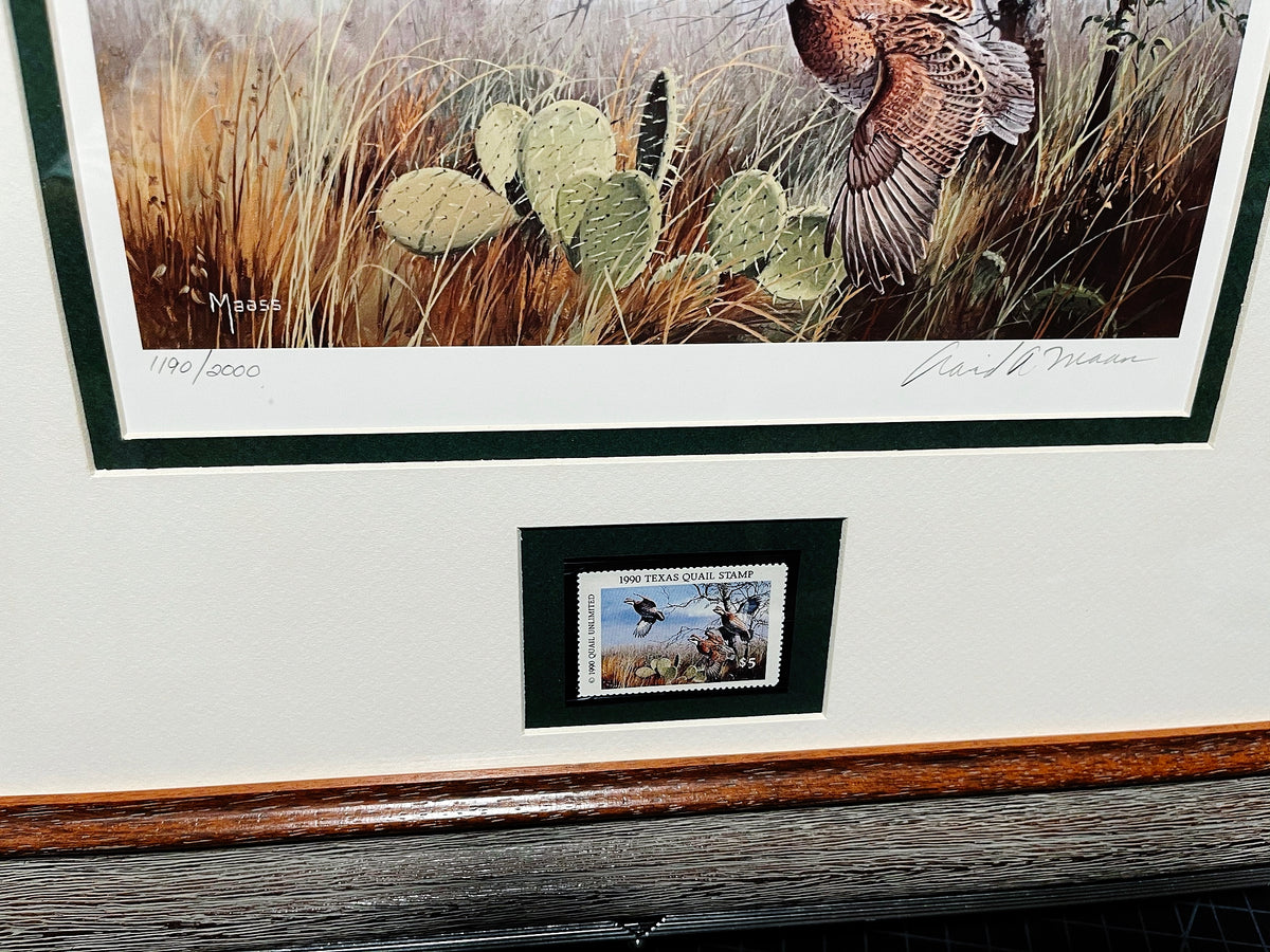 David Maass 1990 First Of The Series Texas Quail Stamp Print With Stam ...