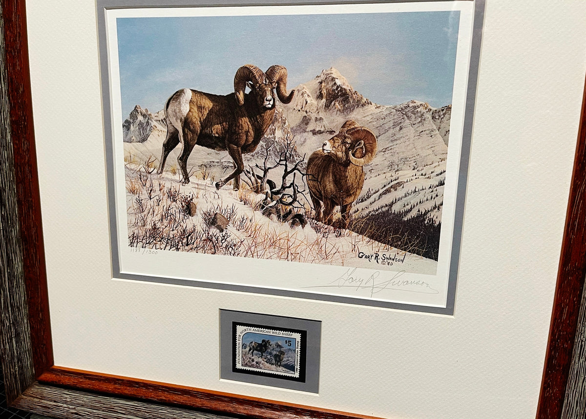 Gary Swanson 1980 Foundation For North American Wild Sheep Conservatio ...