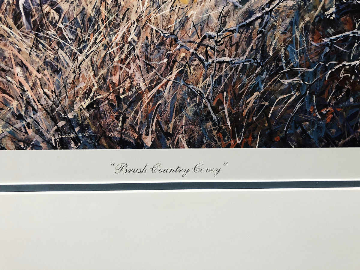 Herb Booth - Brush Country Covey - Lithograph - Brand New Custom Sport ...