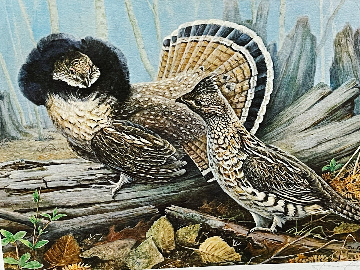 Jim Foote 1979 The Ruffed Grouse Society Conservation Stamp Print With ...