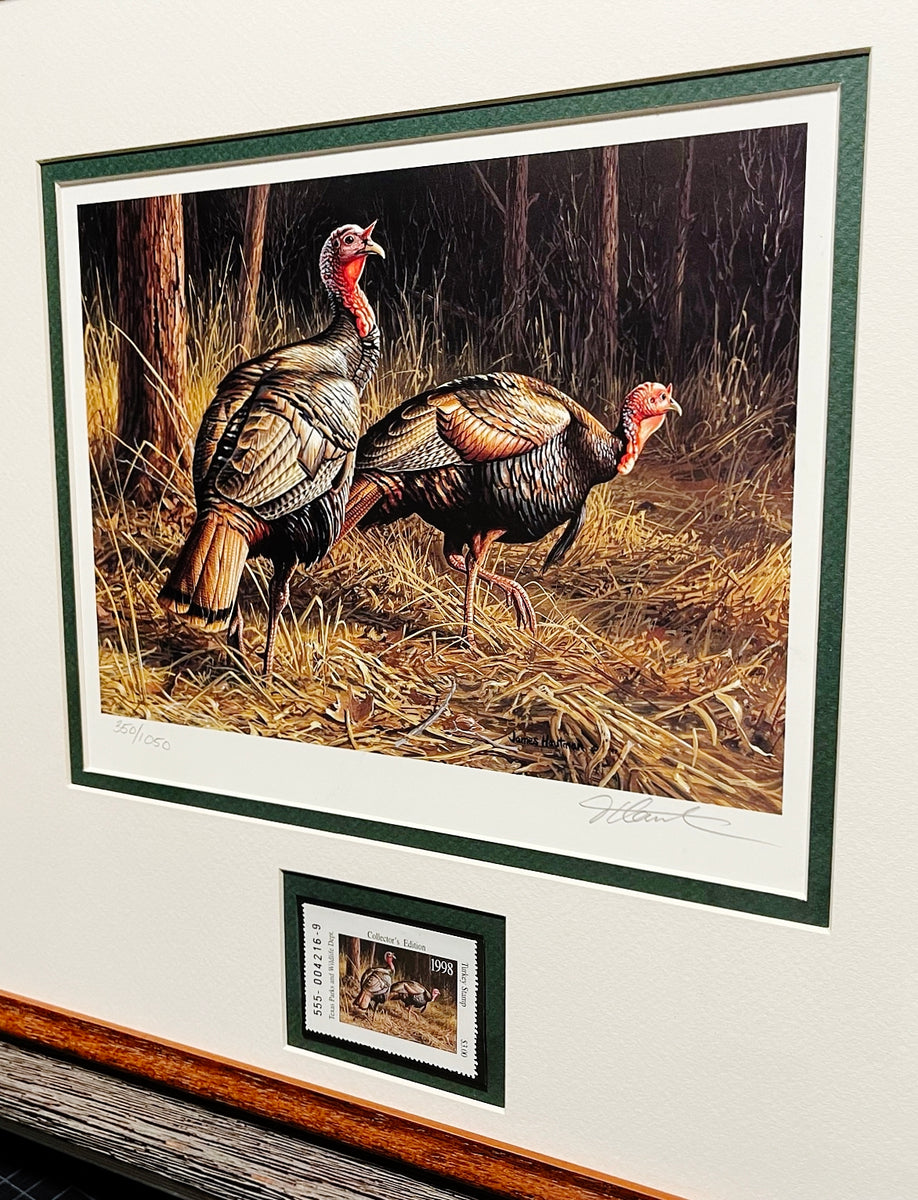 Joe Hautman 1998 Texas Turkey Stamp Print With Stamp - Brand New Super ...