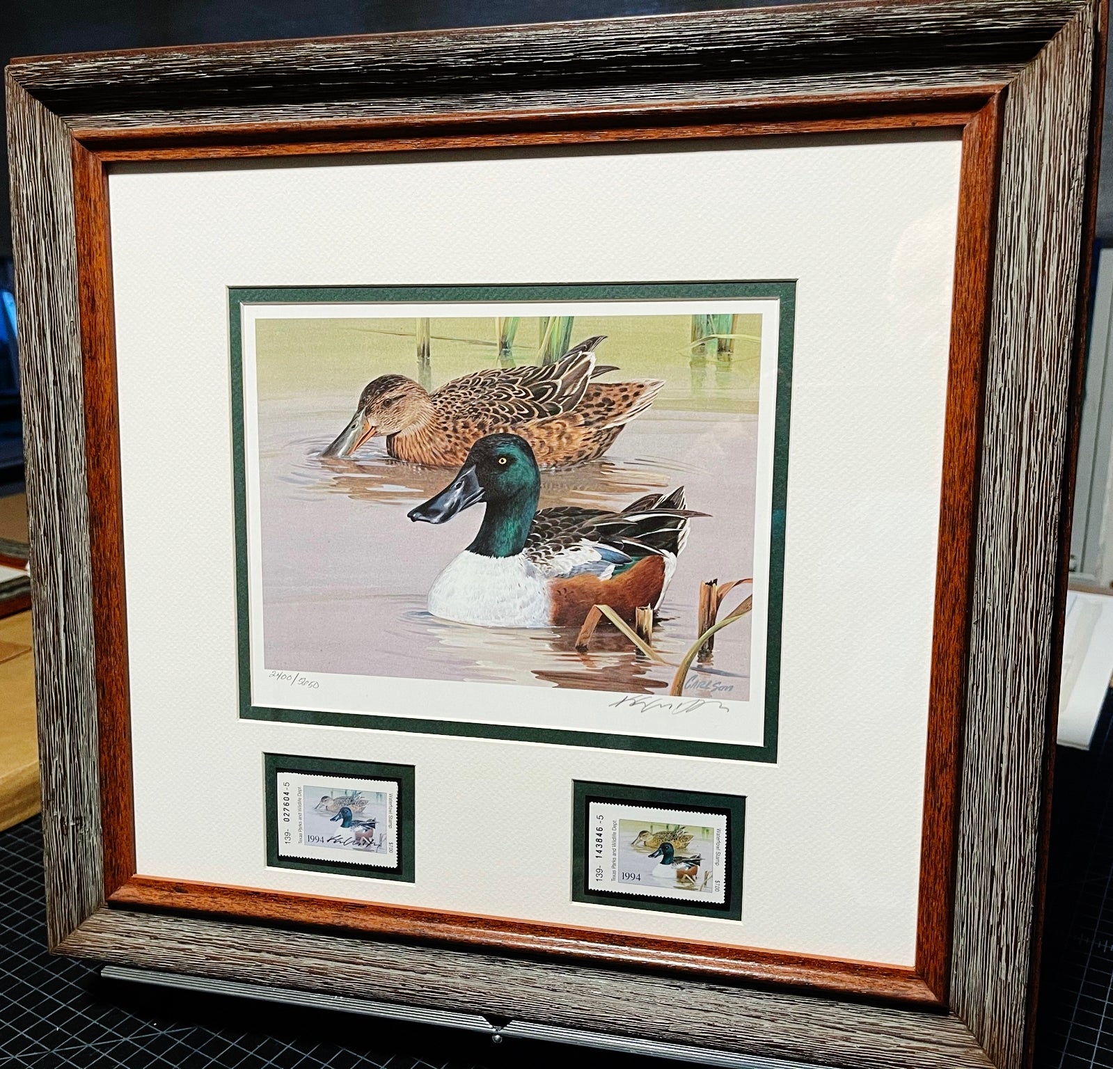 Waterfowl Prints For Sale