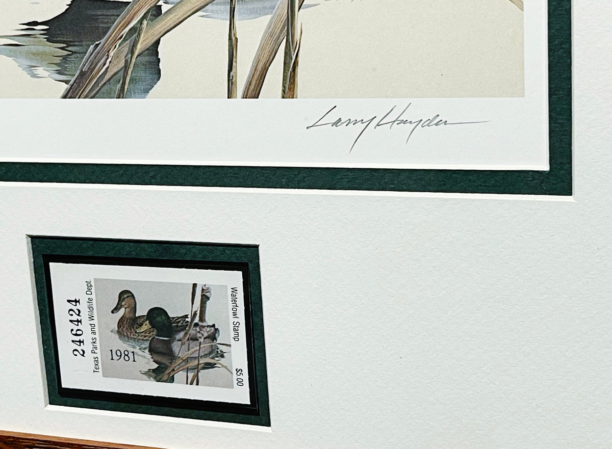 Larry Hayden 1981 Texas Waterfowl Duck Stamp Print With Stamp - Brand ...