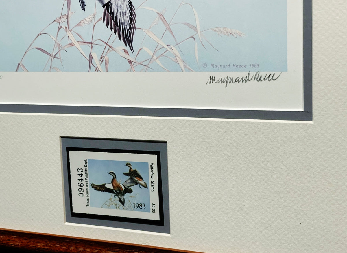 Maynard Reece 1983 Texas Waterfowl Duck Stamp Print With Stamp - Brand ...