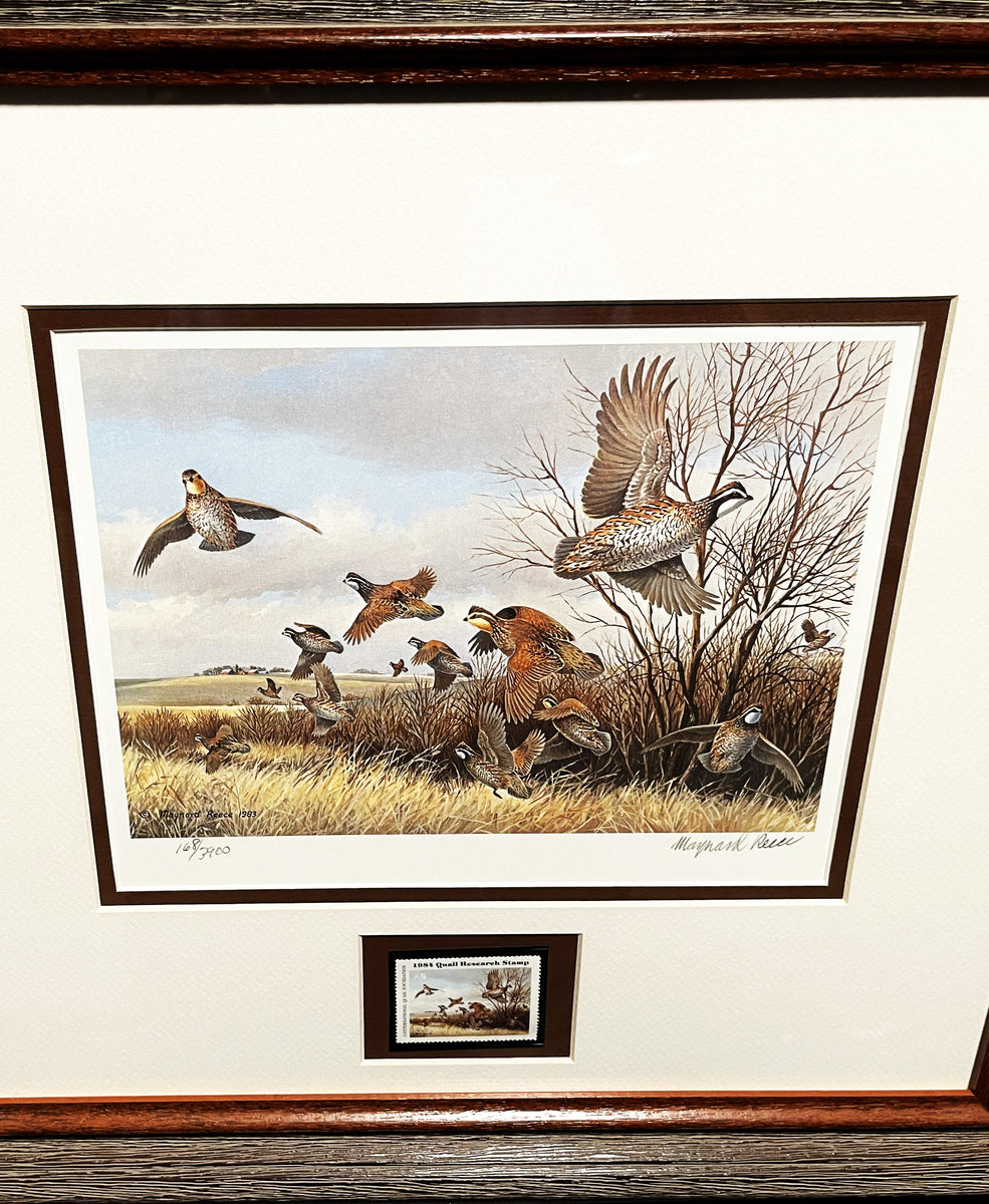 Maynard Reece 1984 International Quail Foundation - Quail Research Sta ...