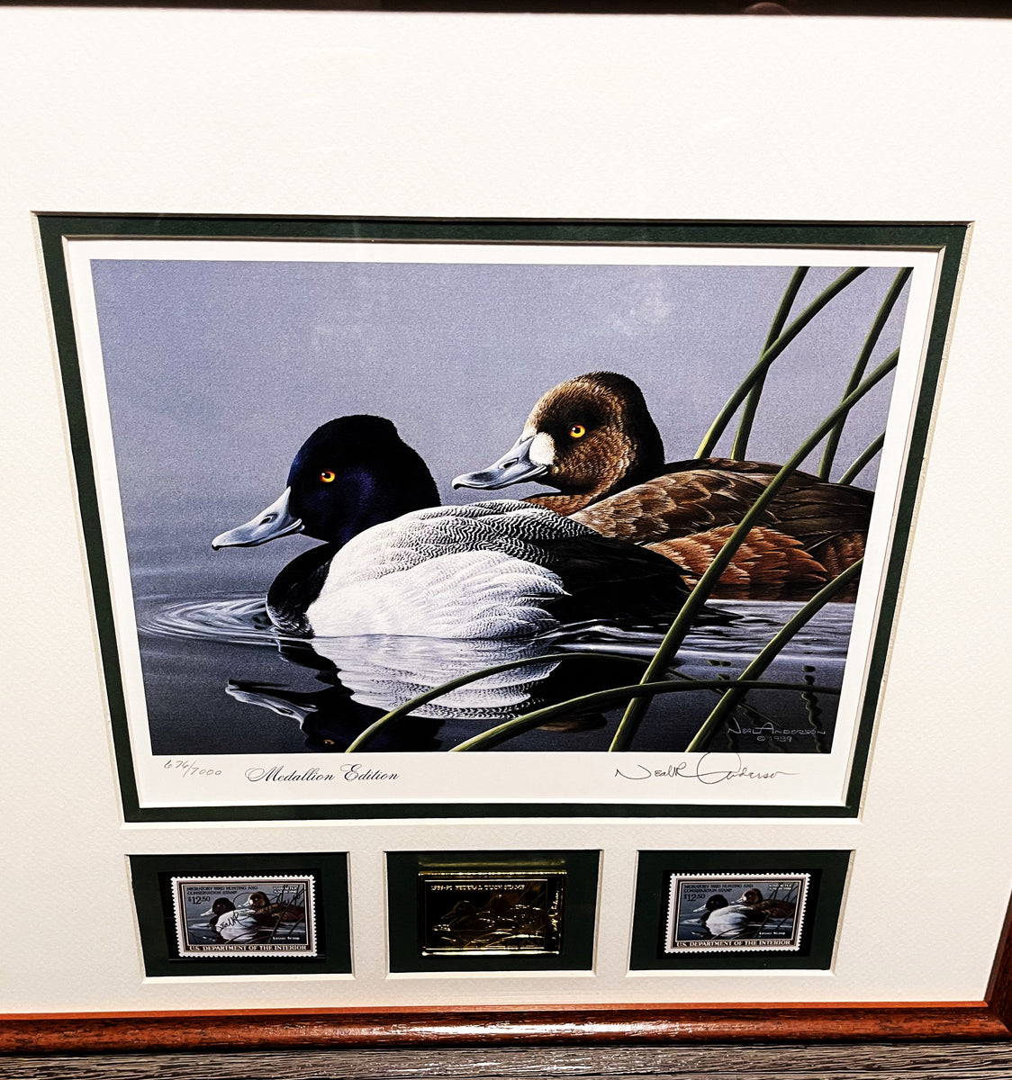 Neal Anderson 1989 Federal Duck Stamp Print Gold Medallion Edition Wit ...
