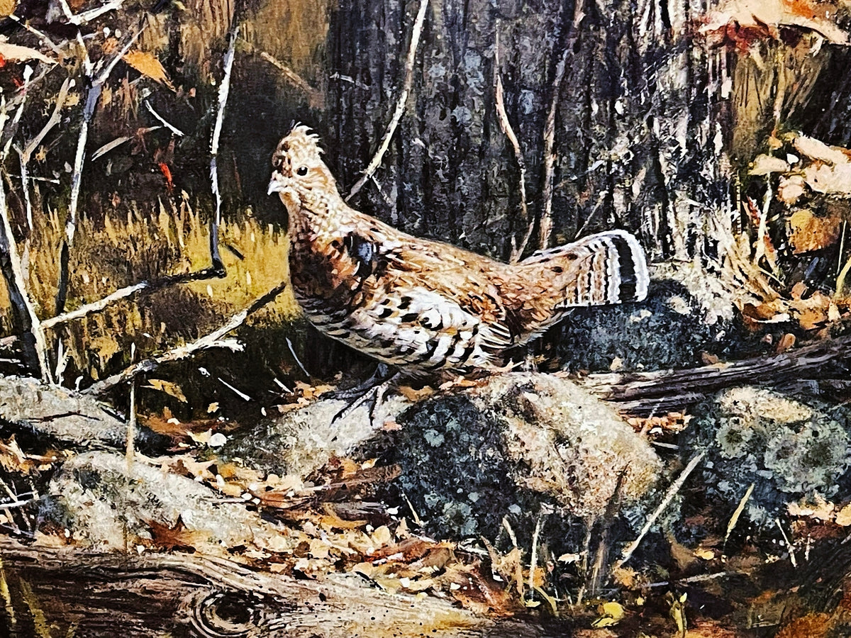 Robert Abbett 1982 The Ruffed Grouse Society Conservation Stamp Print ...