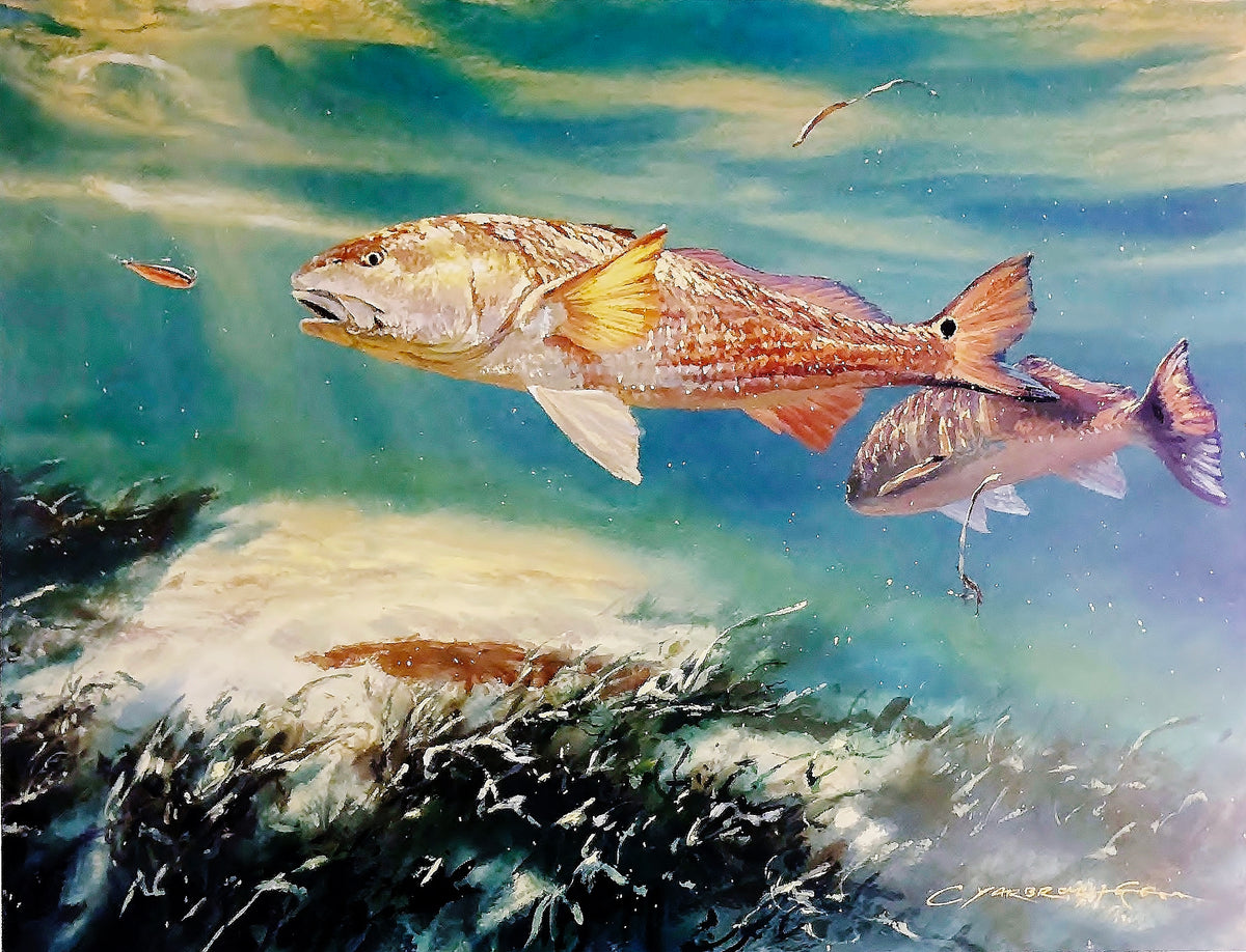 Chance Yarbrough Party Of Two - Lithograph AP - Redfish - Brand New Su ...